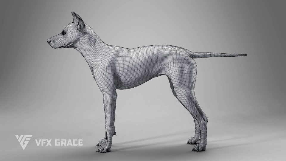 Dog Animated - MAYA Character Asset | VFX Grace