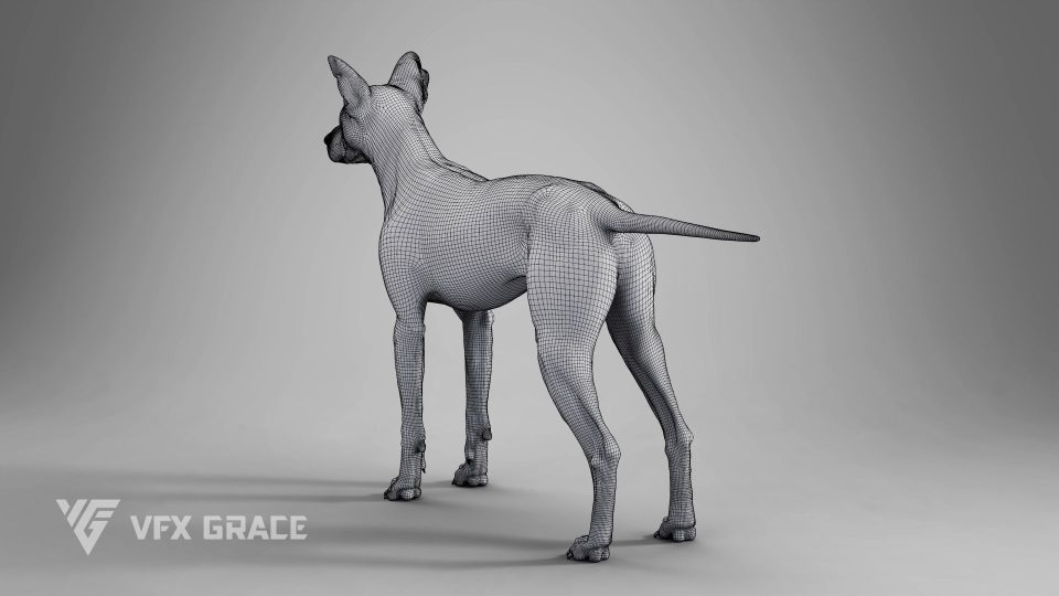 Dog Animated - MAYA Character Asset | VFX Grace