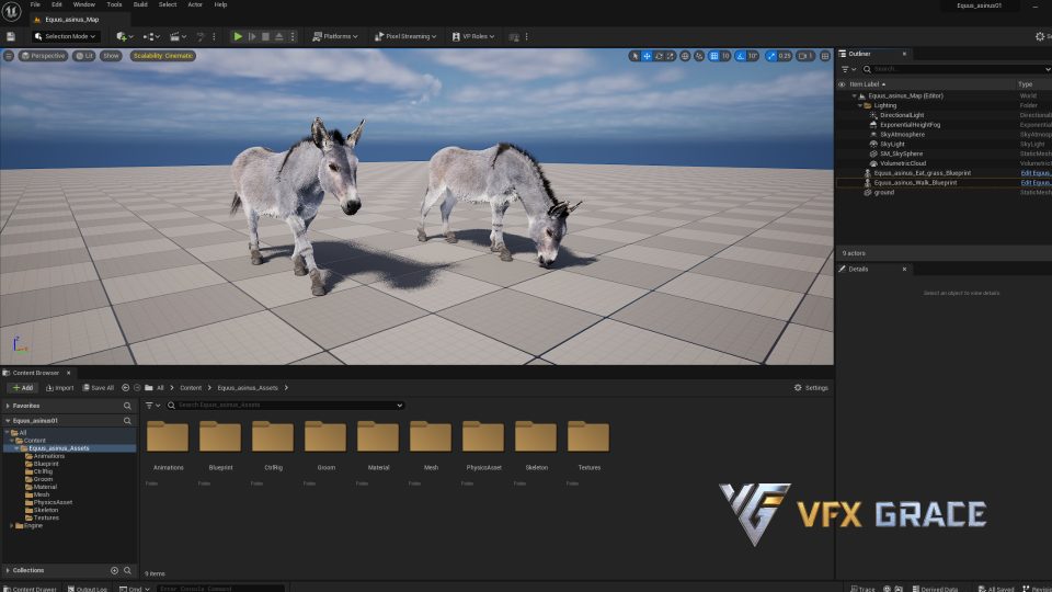 Grey Donkey - UE Character Asset | VFX Grace