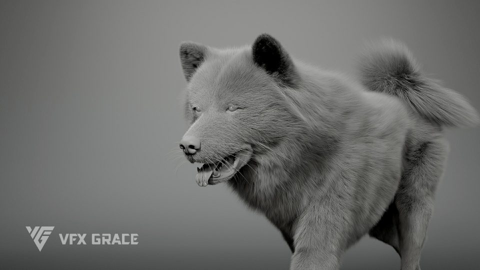 Akita Dog Animation - MAYA Character Asset | VFX Grace
