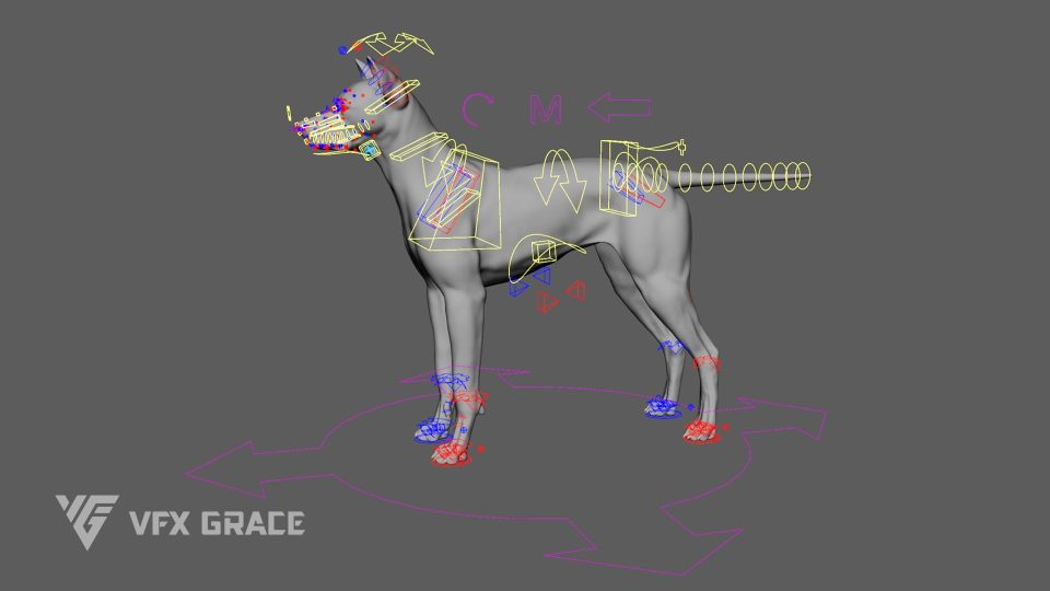 Akita Dog Animation - MAYA Character Asset | VFX Grace