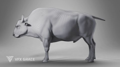 Bison Rig - MAYA Character Asset | VFX Grace