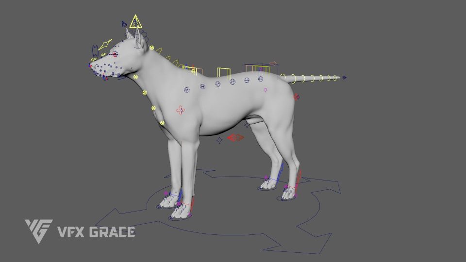 Four-Eyed Dog Animated - MAYA Character Asset | VFX Grace