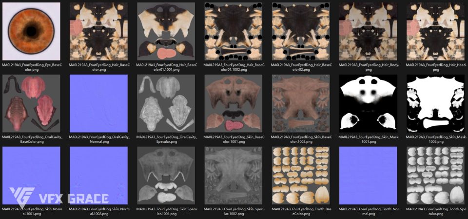 Four-Eyed Dog Animated - MAYA Character Asset | VFX Grace