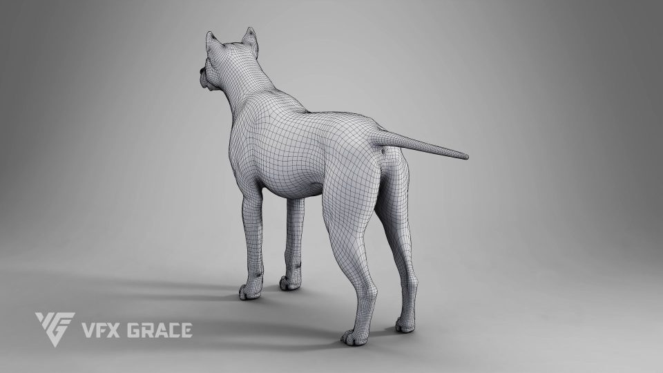 Four-Eyed Dog Animated - MAYA Character Asset | VFX Grace