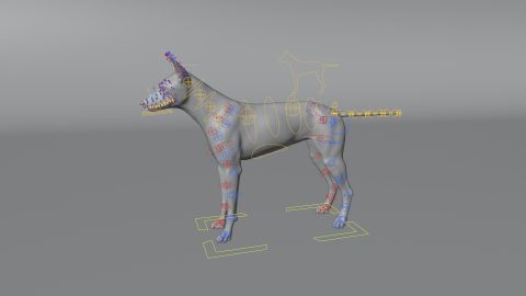 Australian Dingo Animated | VFX Grace | VFX Grace