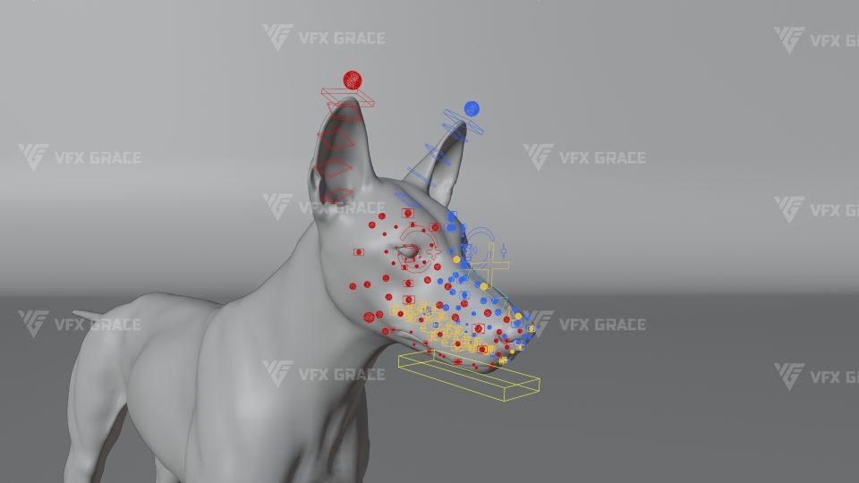 Australian Dingo Animation | VFX Grace | VFX Grace
