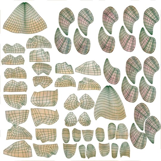 Australian Dingo Animated | VFX Grace | VFX Grace