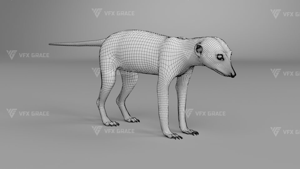 Meerkat Animated | VFX Grace | VFX Grace