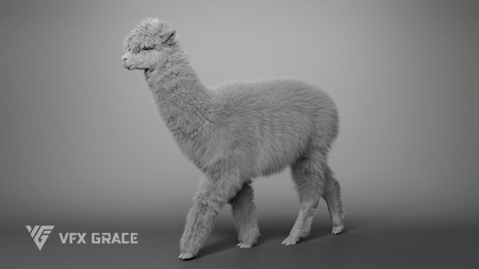 Alpaca Animation - MAYA Character Asset | VFX Grace