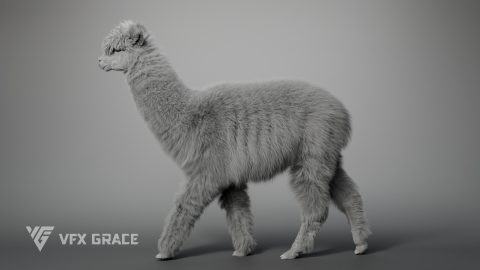 Alpaca Animation - MAYA Character Asset | VFX Grace