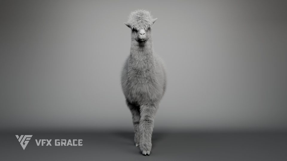 Alpaca Animation - MAYA Character Asset | VFX Grace