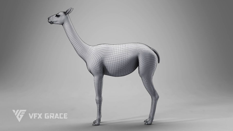 Alpaca Animation - MAYA Character Asset | VFX Grace