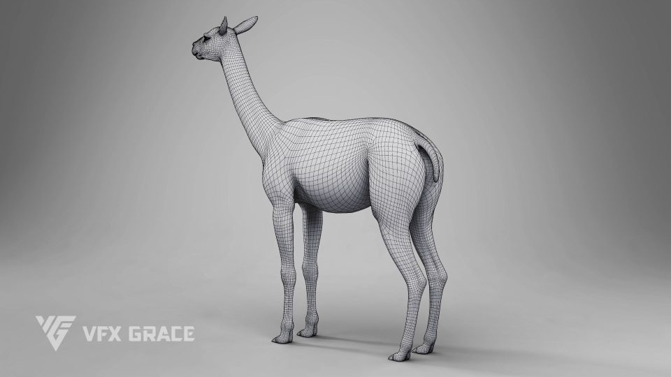 Alpaca Animation - MAYA Character Asset | VFX Grace