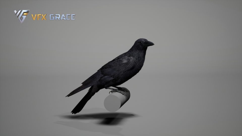 Carrion Crow - UE Character Asset | VFX Grace