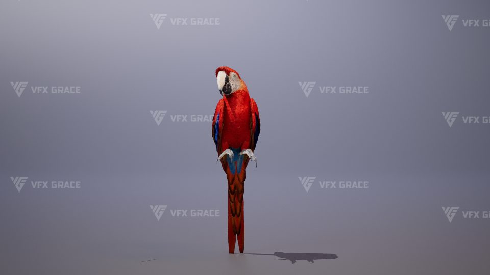 Ara Macao - UE Character Asset | VFX Grace