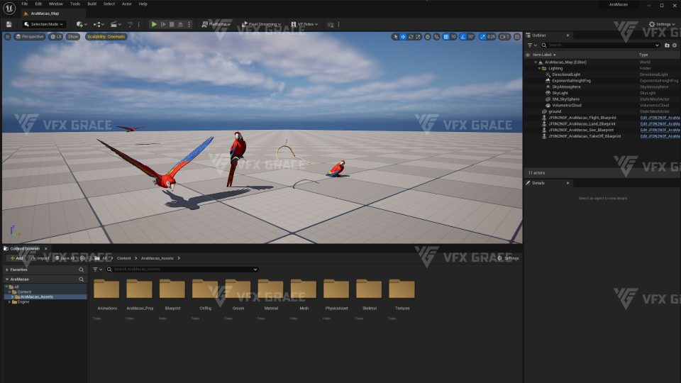 Ara Macao - UE Character Asset | VFX Grace