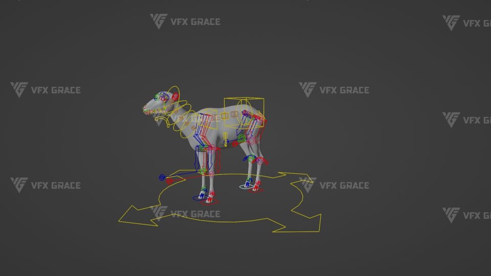European Mouflon Female Animation | VFX Grace | VFX Grace