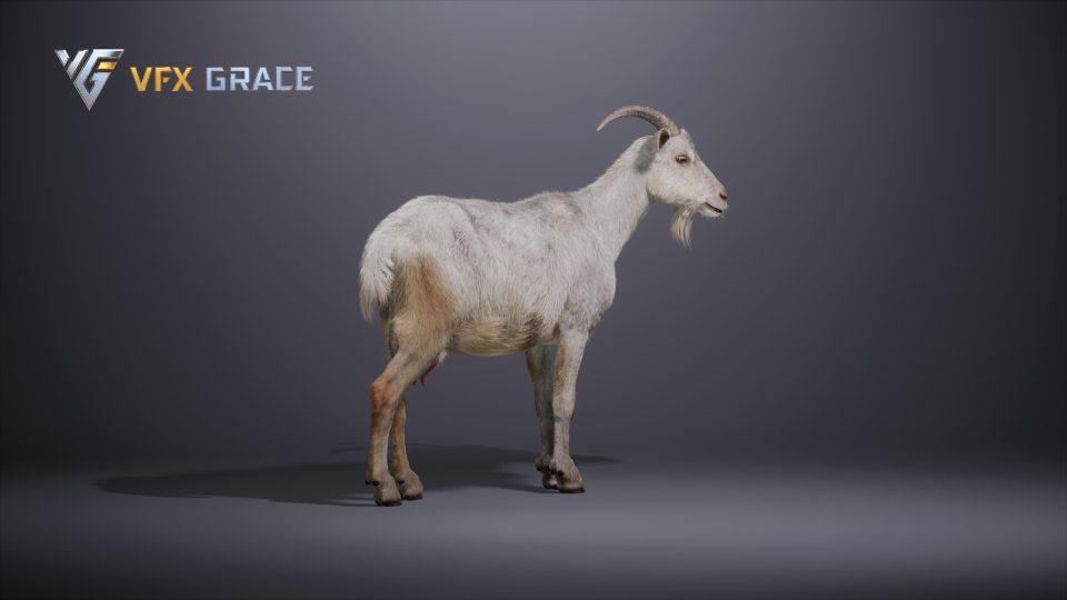 Goat02 - UE Character Asset | VFX Grace