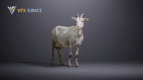 Goat02 - UE Character Asset | VFX Grace