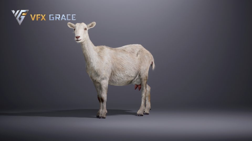 Goat03 - UE Character Asset | VFX Grace