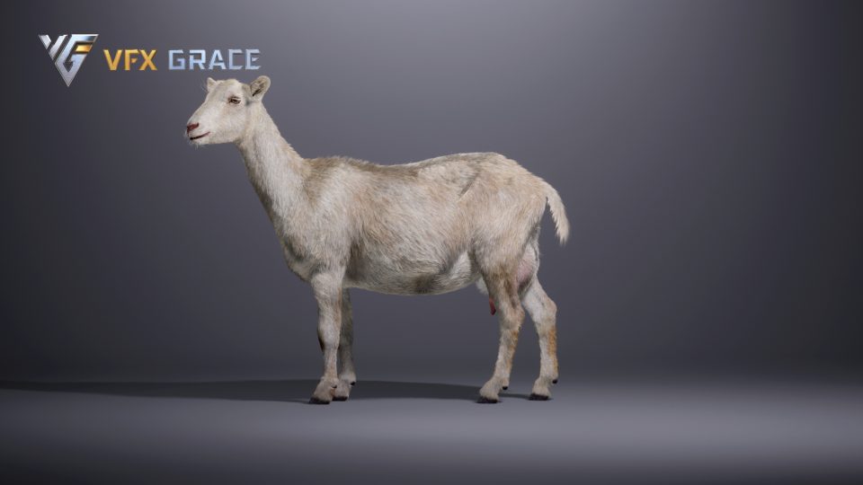 Goat03 - UE Character Asset | VFX Grace