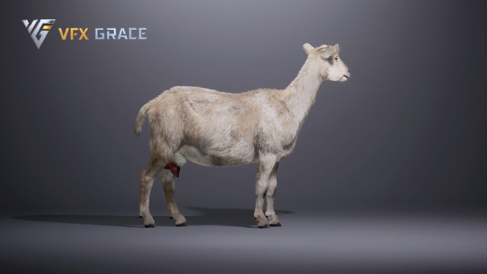 Goat03 - UE Character Asset | VFX Grace