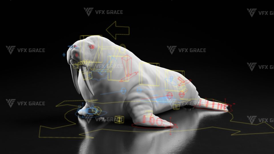 Walrus Animation - 3d model, rigging, Blender model | VFX Grace