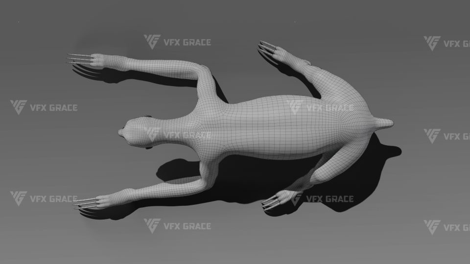 Three Toed Sloth 3D Model Rigged for Maya | VFX Grace